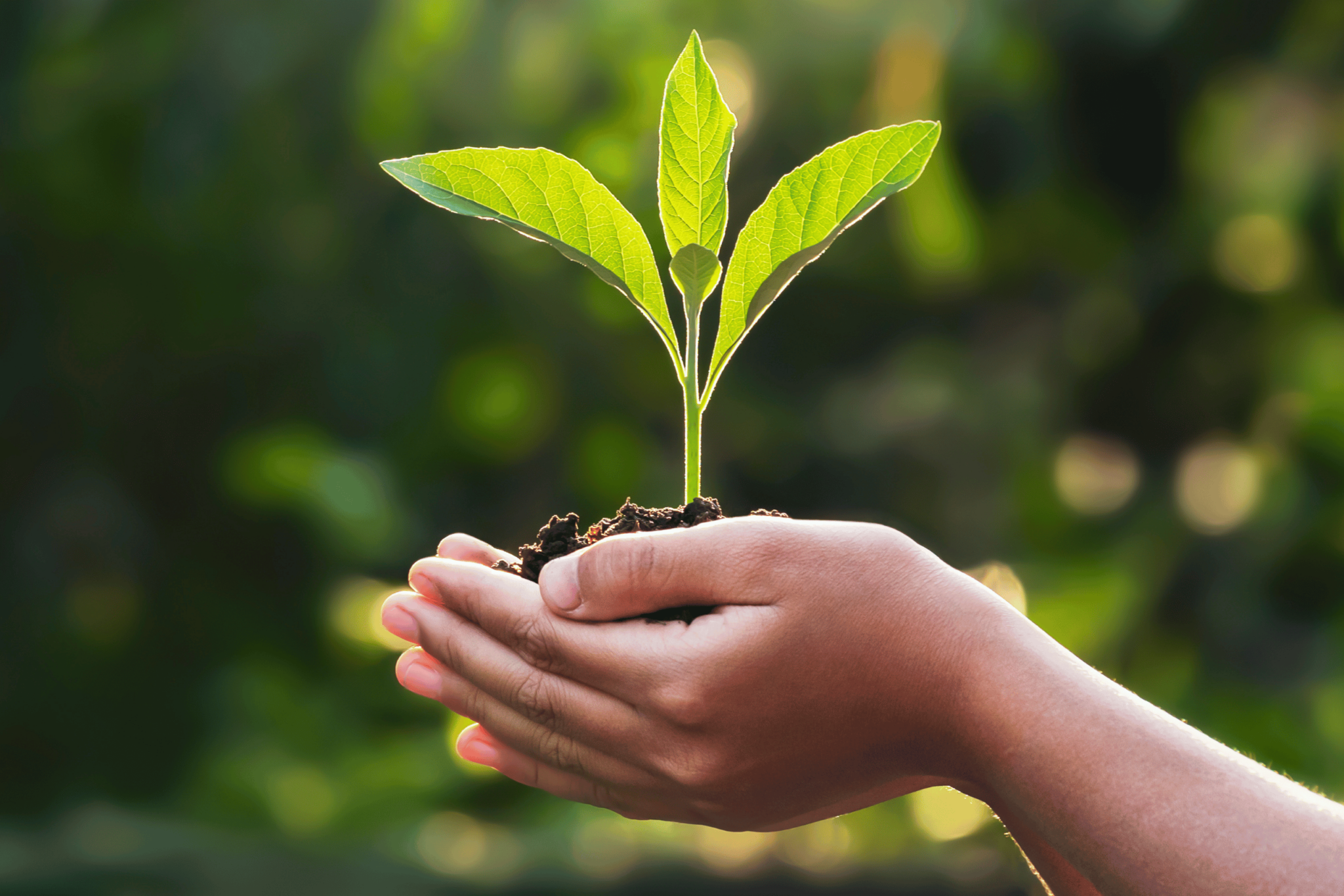 Earth Day 2024: 5 ways to make your business more environmentally ...